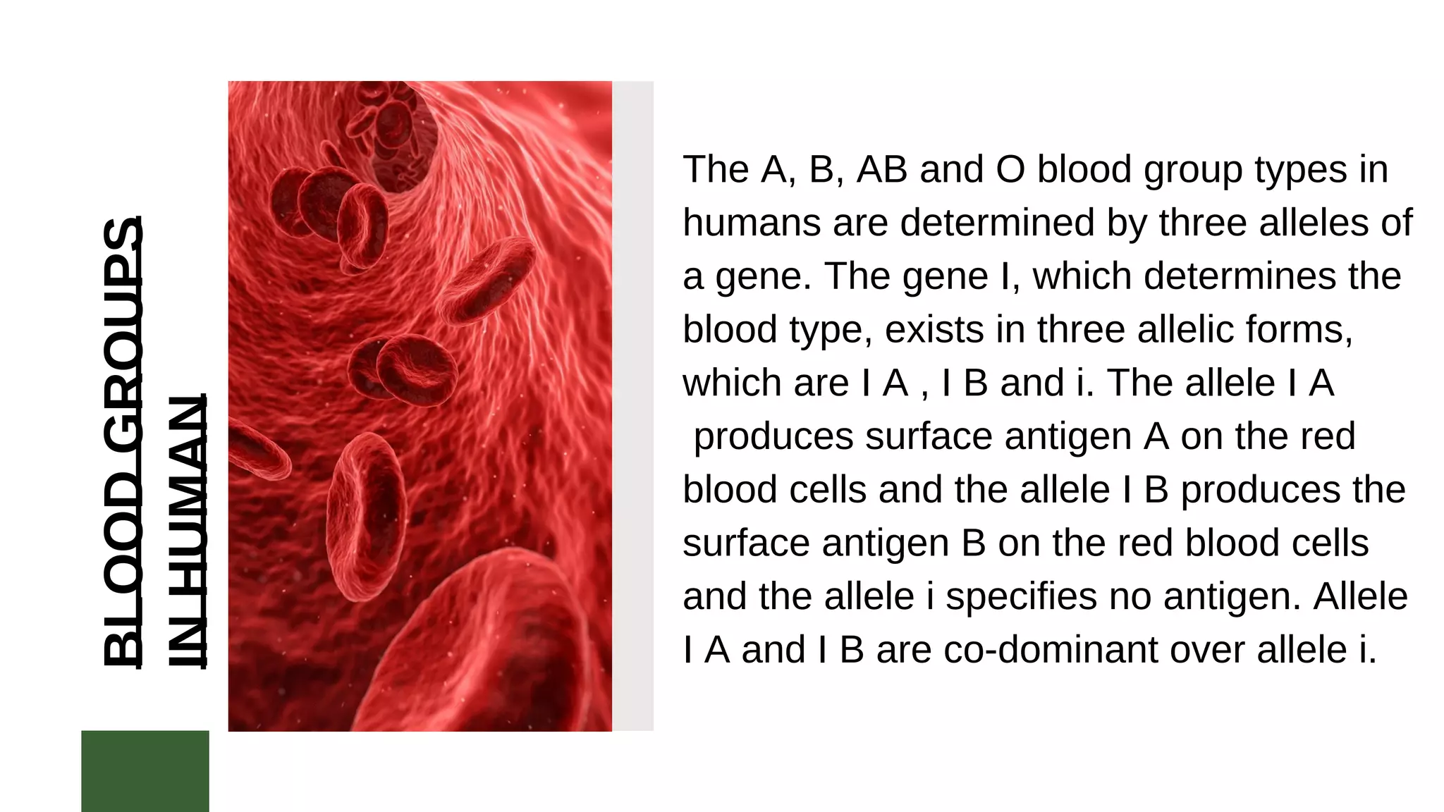 Multiple alleles.pdf