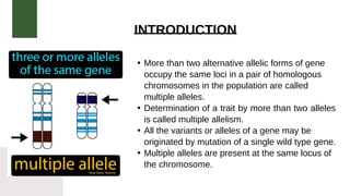 Multiple alleles.pdf