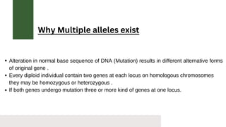 Multiple alleles.pdf