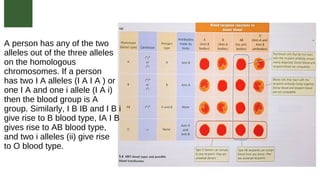 Multiple alleles.pdf