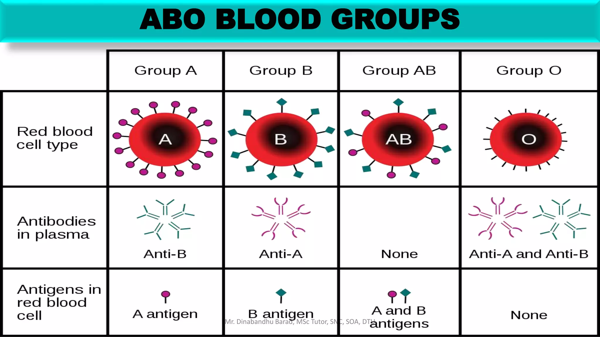 MULTIPLE ALLELES AND BLOOD GROUPING | PPTX