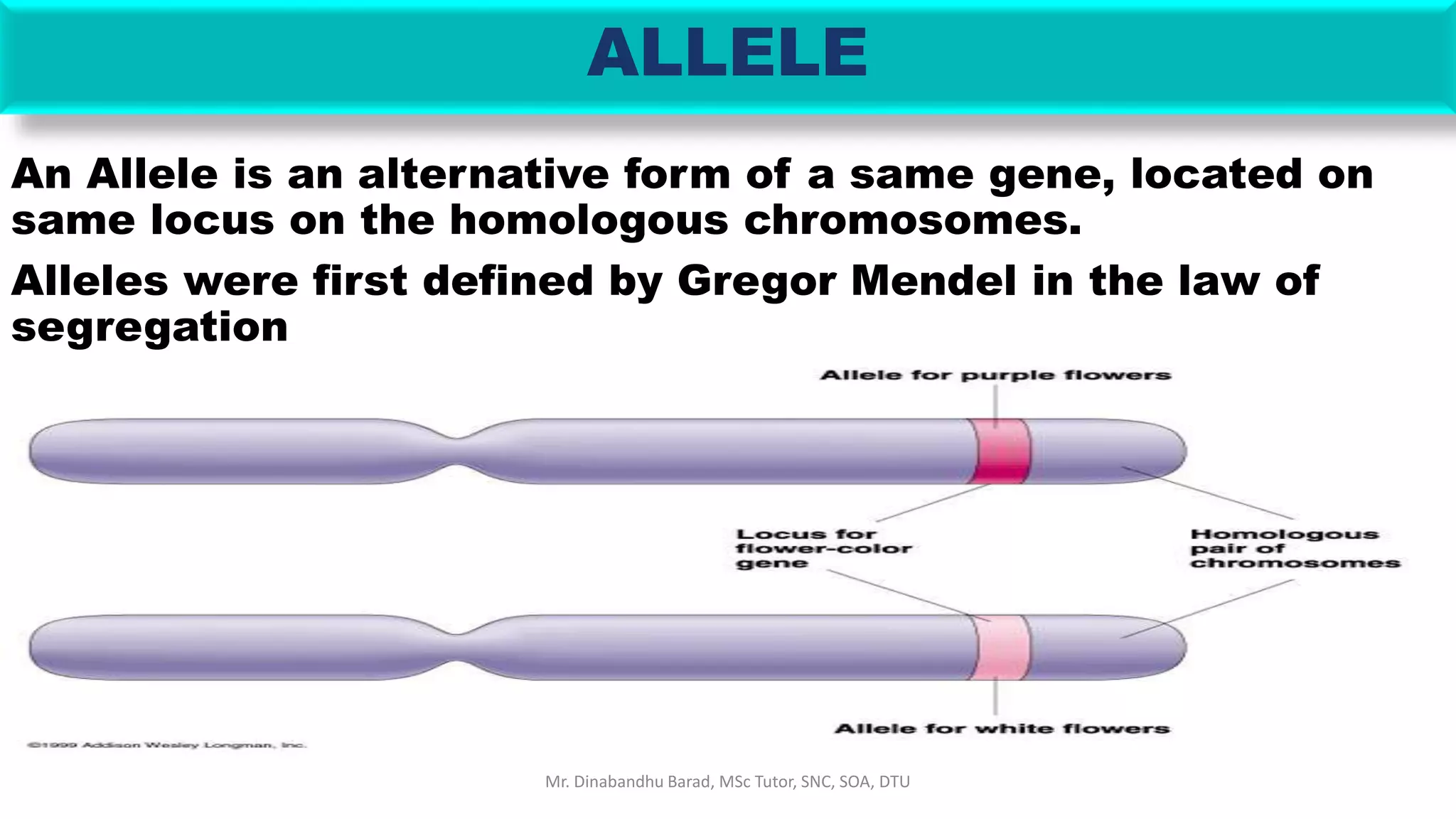 MULTIPLE ALLELES AND BLOOD GROUPING | PPTX