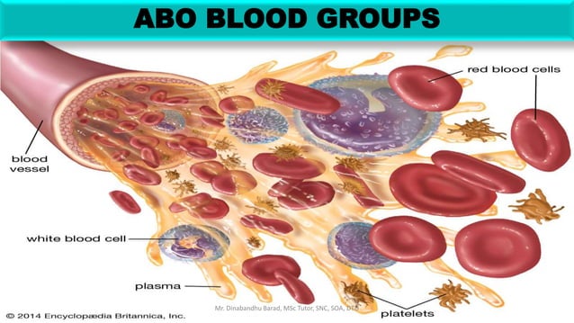 MULTIPLE ALLELES AND BLOOD GROUPING | PPTX
