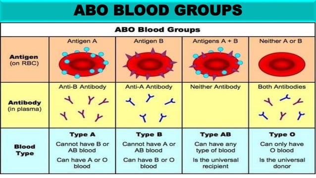 MULTIPLE ALLELES AND BLOOD GROUPING | PPTX