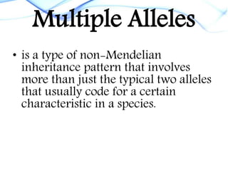 Multiple alleles | PPT