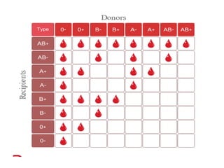 Understanding Multiple Allelism in Genetics | PPT