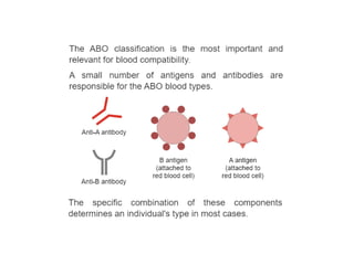 Understanding Multiple Allelism in Genetics | PPT
