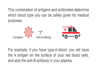 Understanding Multiple Allelism in Genetics | PPT