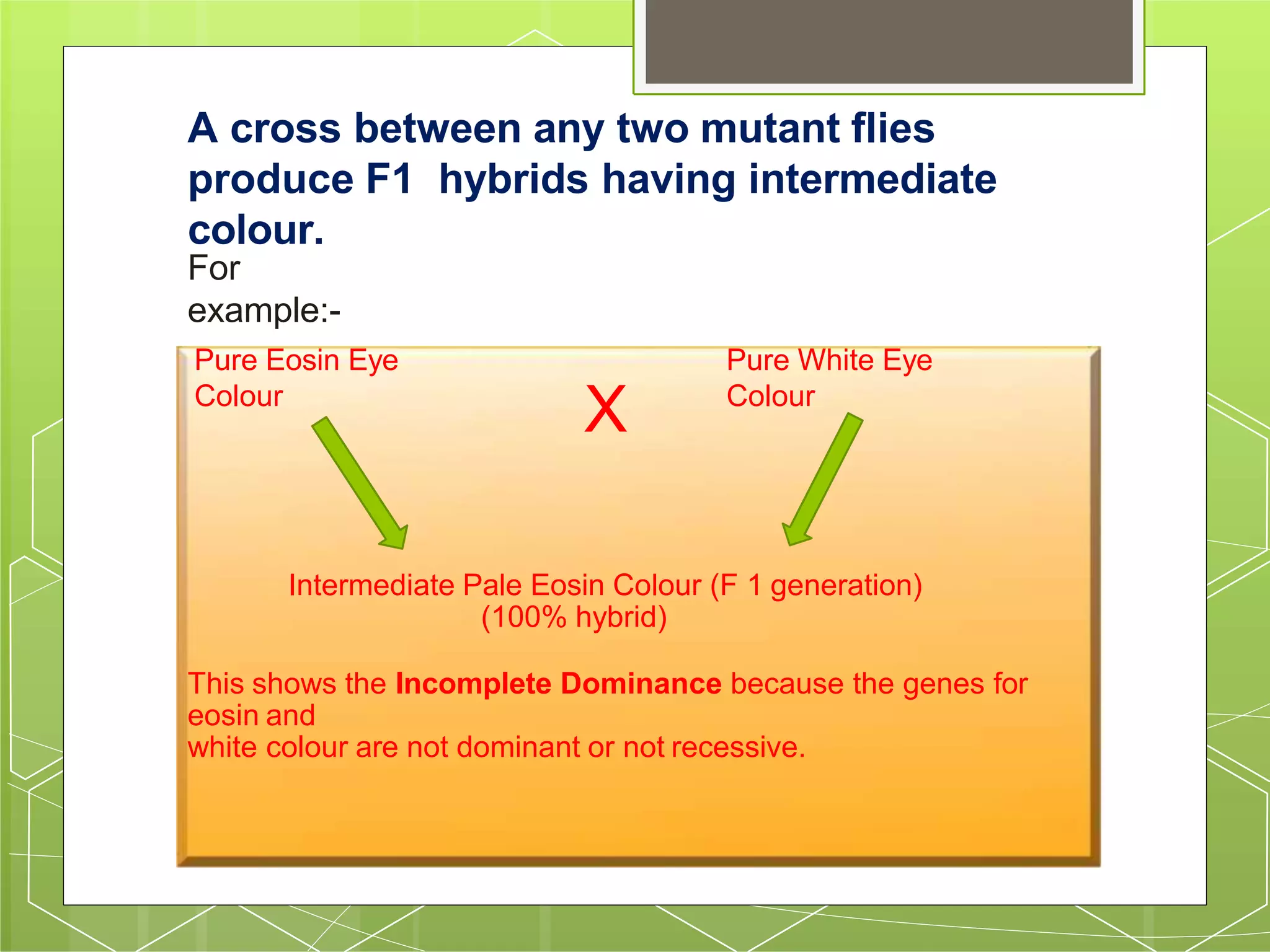 multiple allelism | PPTX