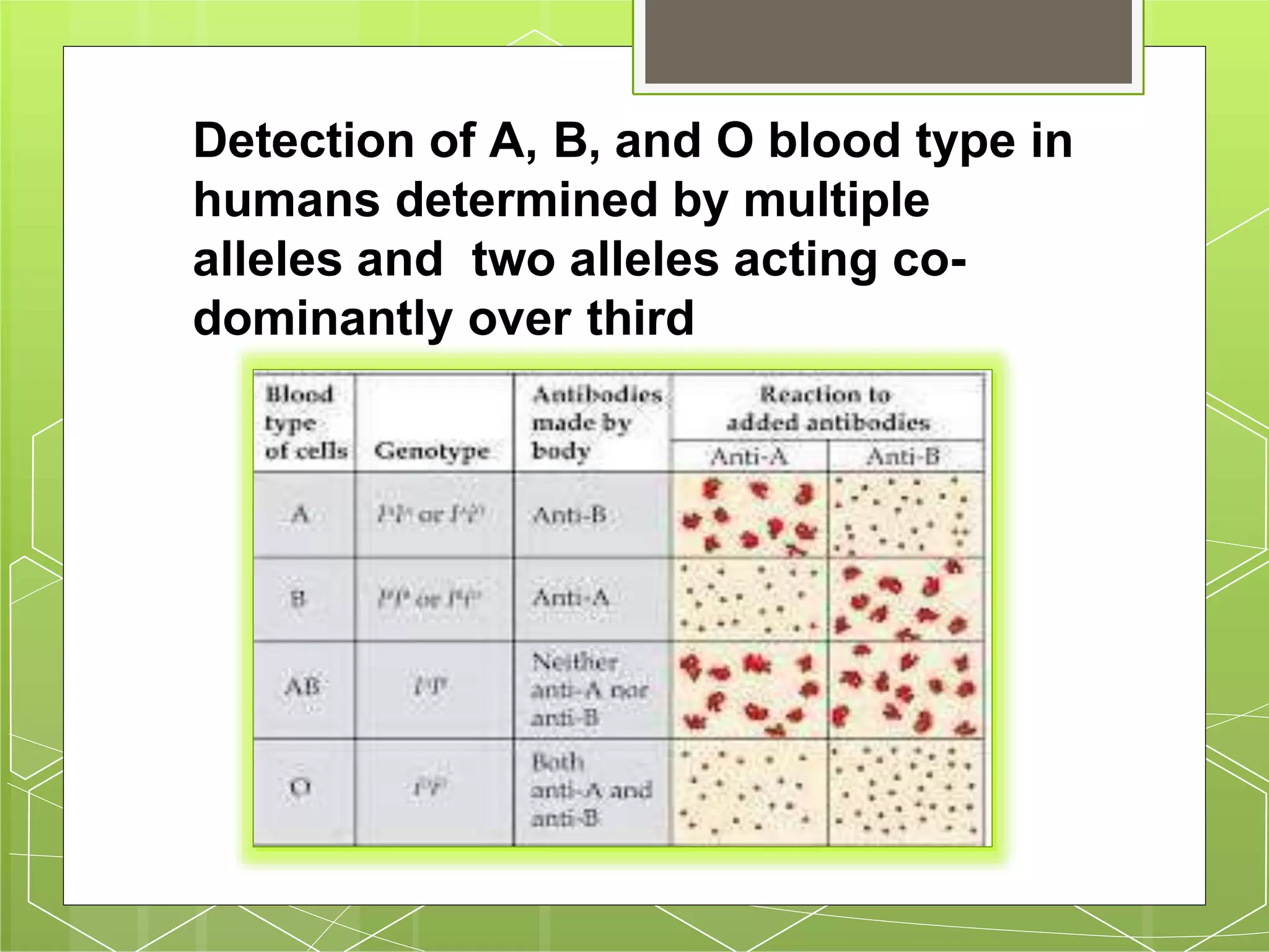 multiple allelism | PPTX