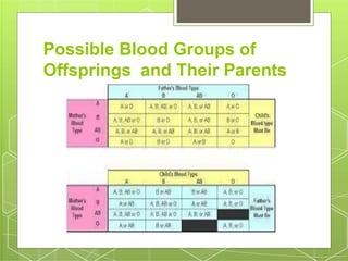 multiple allelism | PPTX