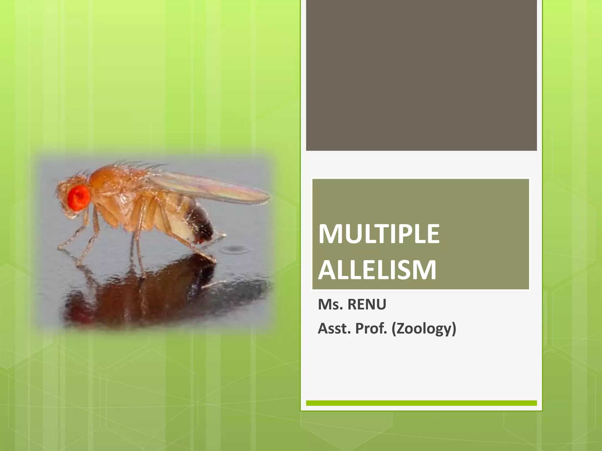 Multiple allelism | PPTX