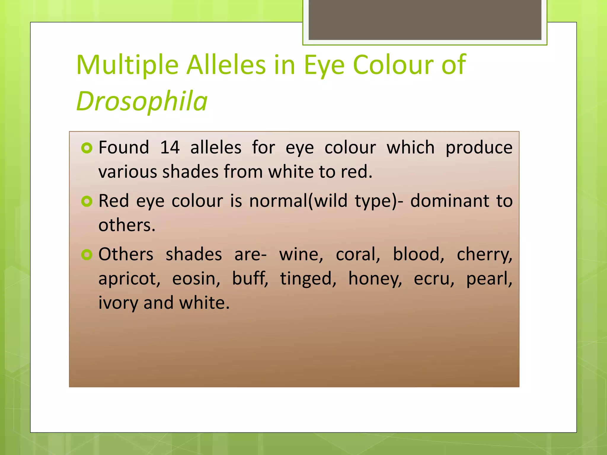 Multiple allelism | PPTX