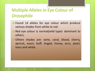 Multiple allelism | PPTX | Blood Disorders | Diseases and Conditions