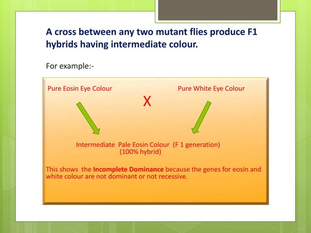 Multiple allelism | PPTX | Blood Disorders | Diseases and Conditions