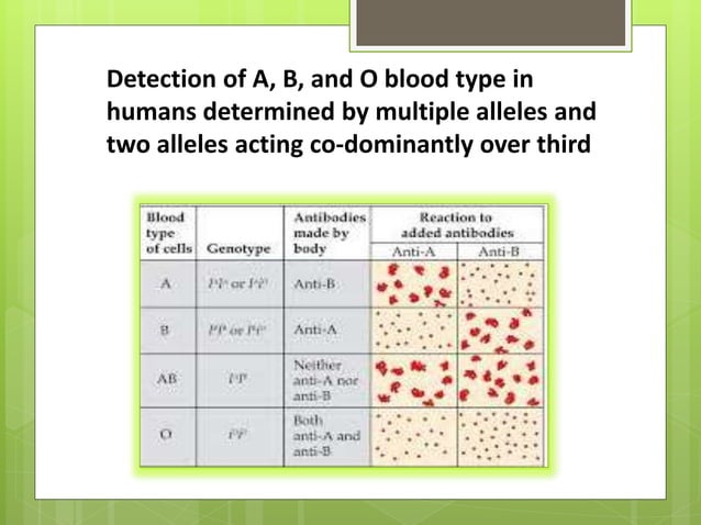 Multiple allelism | PPTX | Blood Disorders | Diseases and Conditions