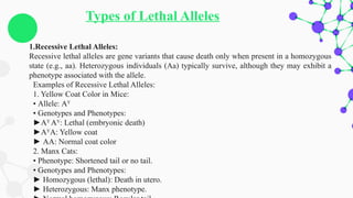 multiple and lethal.pptxxxxxxxxxxxxxxxxx | PPT