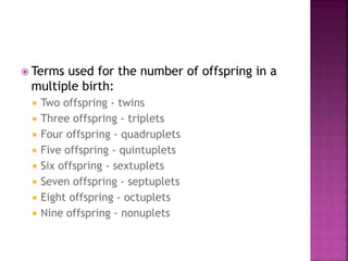 Multiple Childbirth Complications | PPT