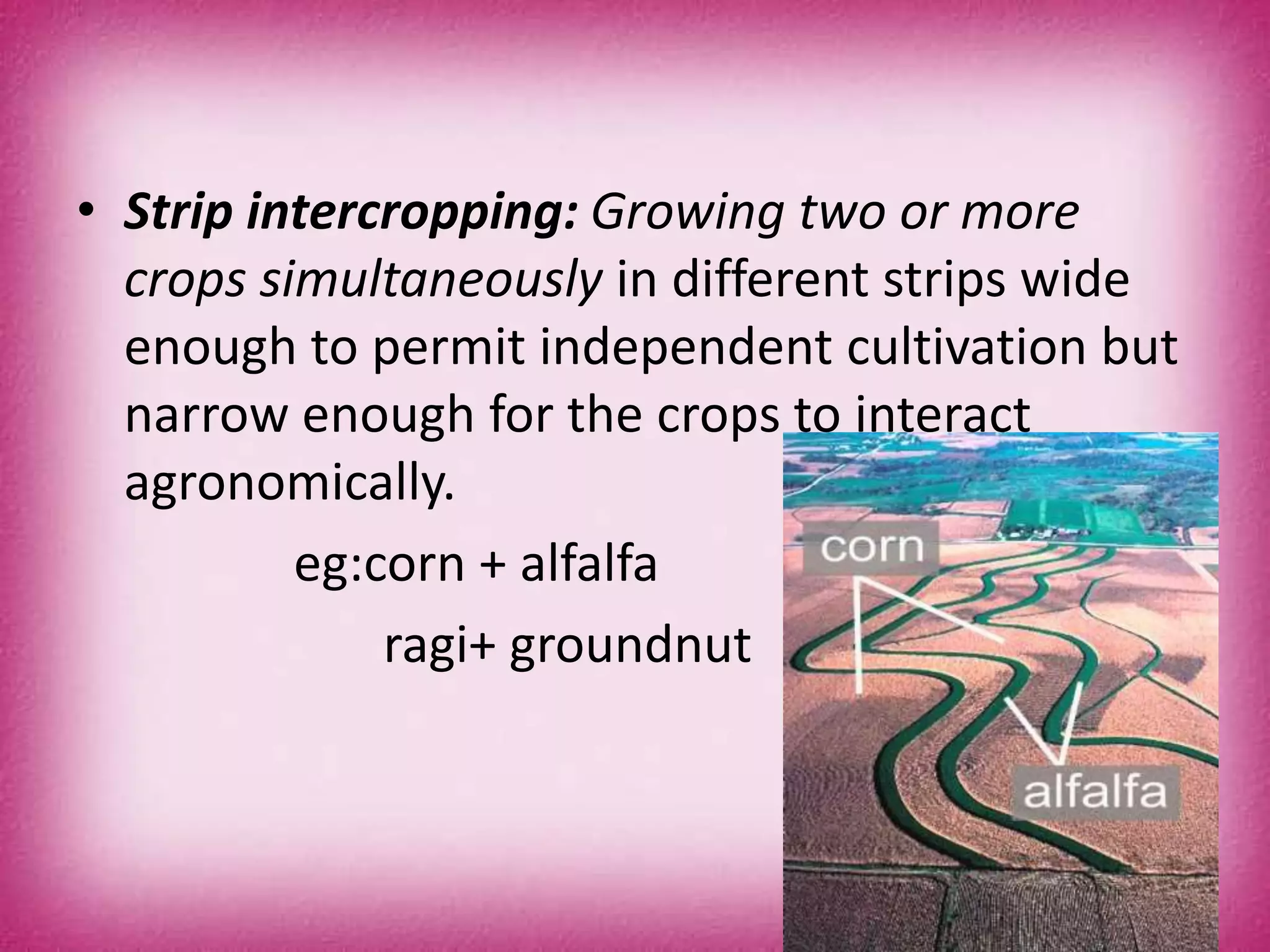 Multiple cropping systems | PPTX