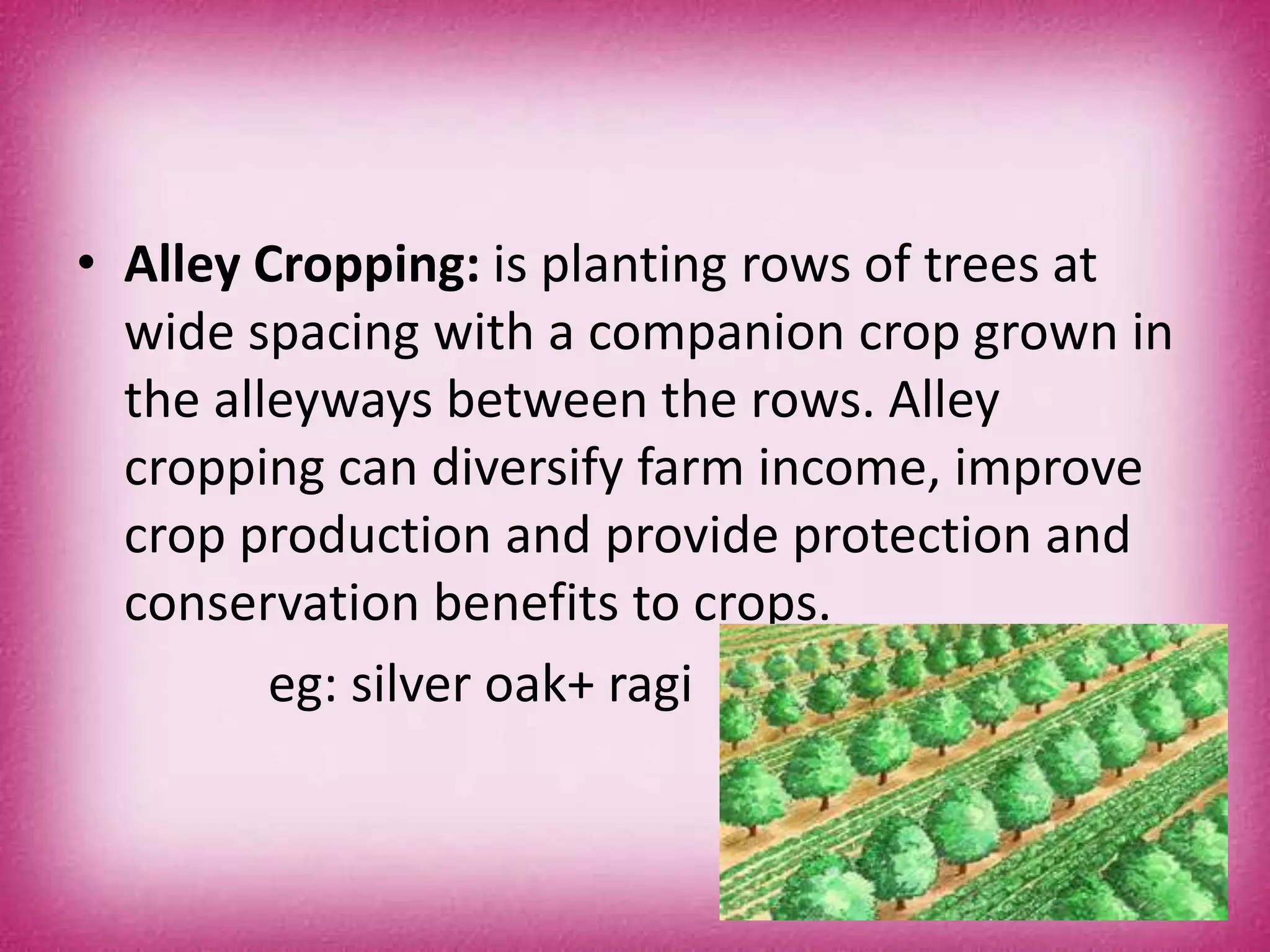 Multiple cropping systems | PPTX