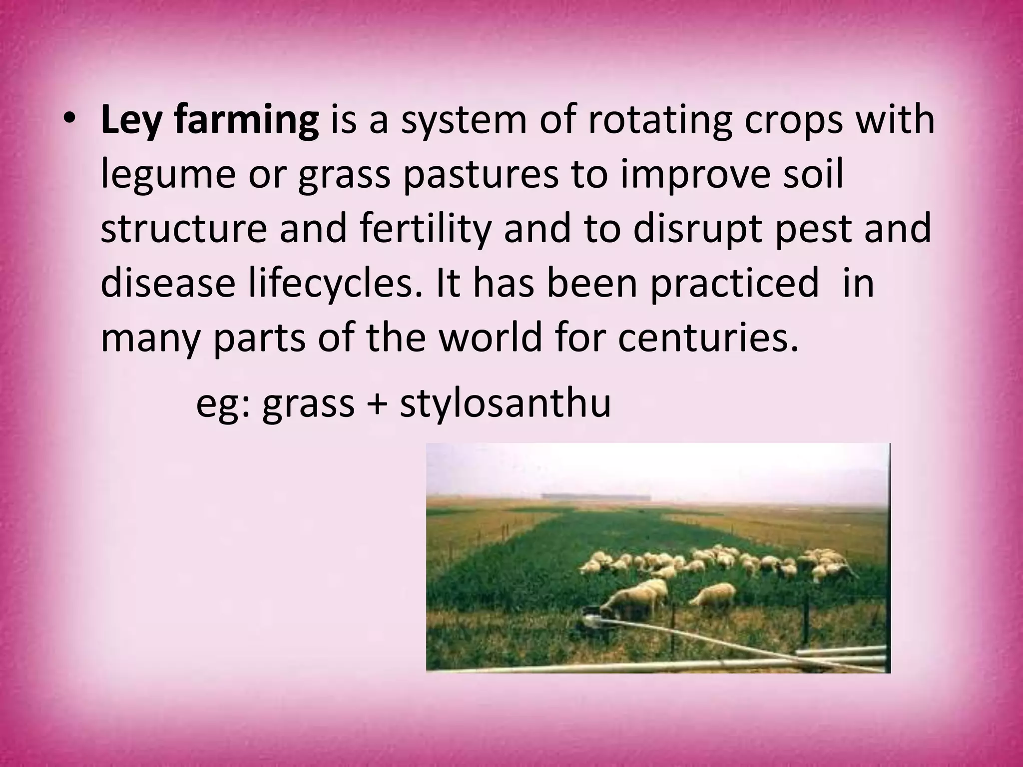 Multiple cropping systems | PPTX