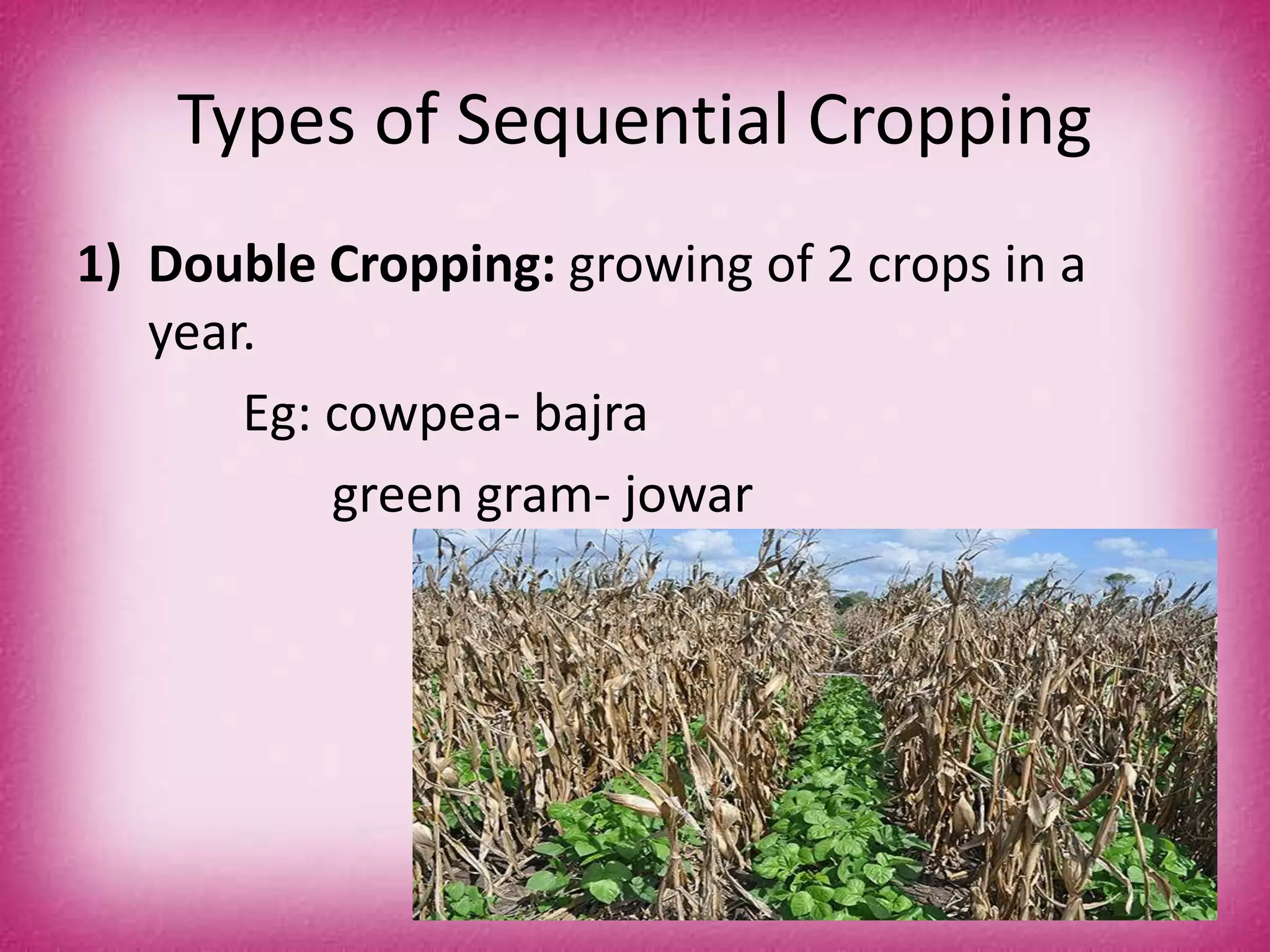 Multiple cropping systems | PPTX