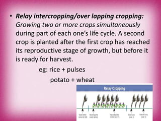 Multiple cropping systems | PPTX