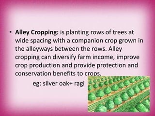 Multiple cropping systems | PPTX