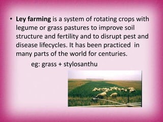 Multiple cropping systems | PPTX