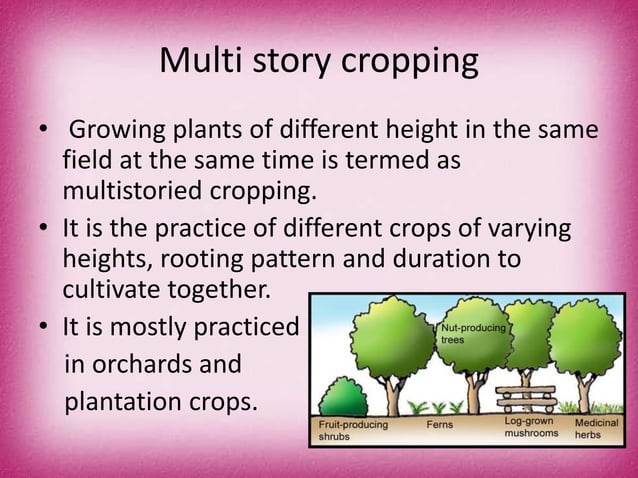 Multiple cropping systems | PPTX | Agriculture | Industries