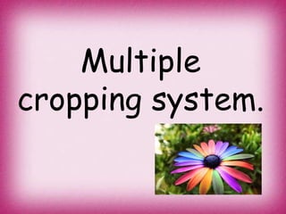 Multiple cropping systems | PPTX