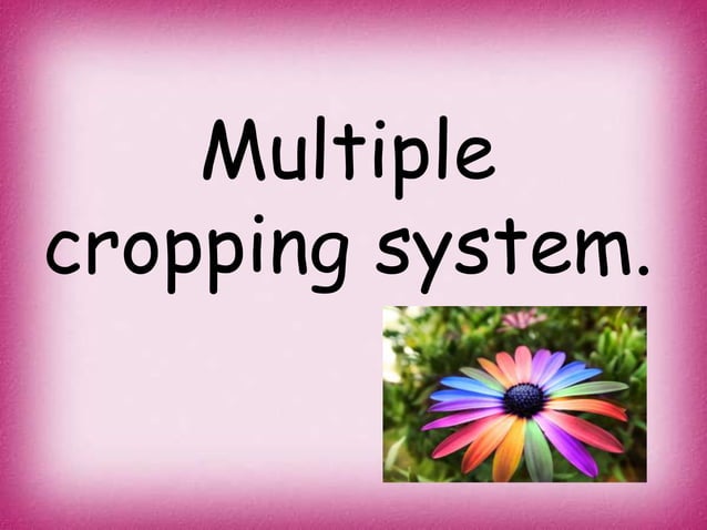 Multiple cropping systems | PPTX | Agriculture | Industries