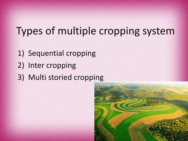 Multiple cropping systems | PPTX | Agriculture | Industries