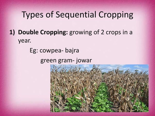 Multiple cropping systems | PPTX | Agriculture | Industries