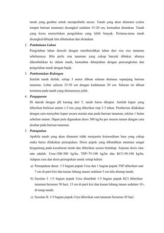 Multiple cropping dalam koridor sistem pertanian terpadu berkelanjutan ...