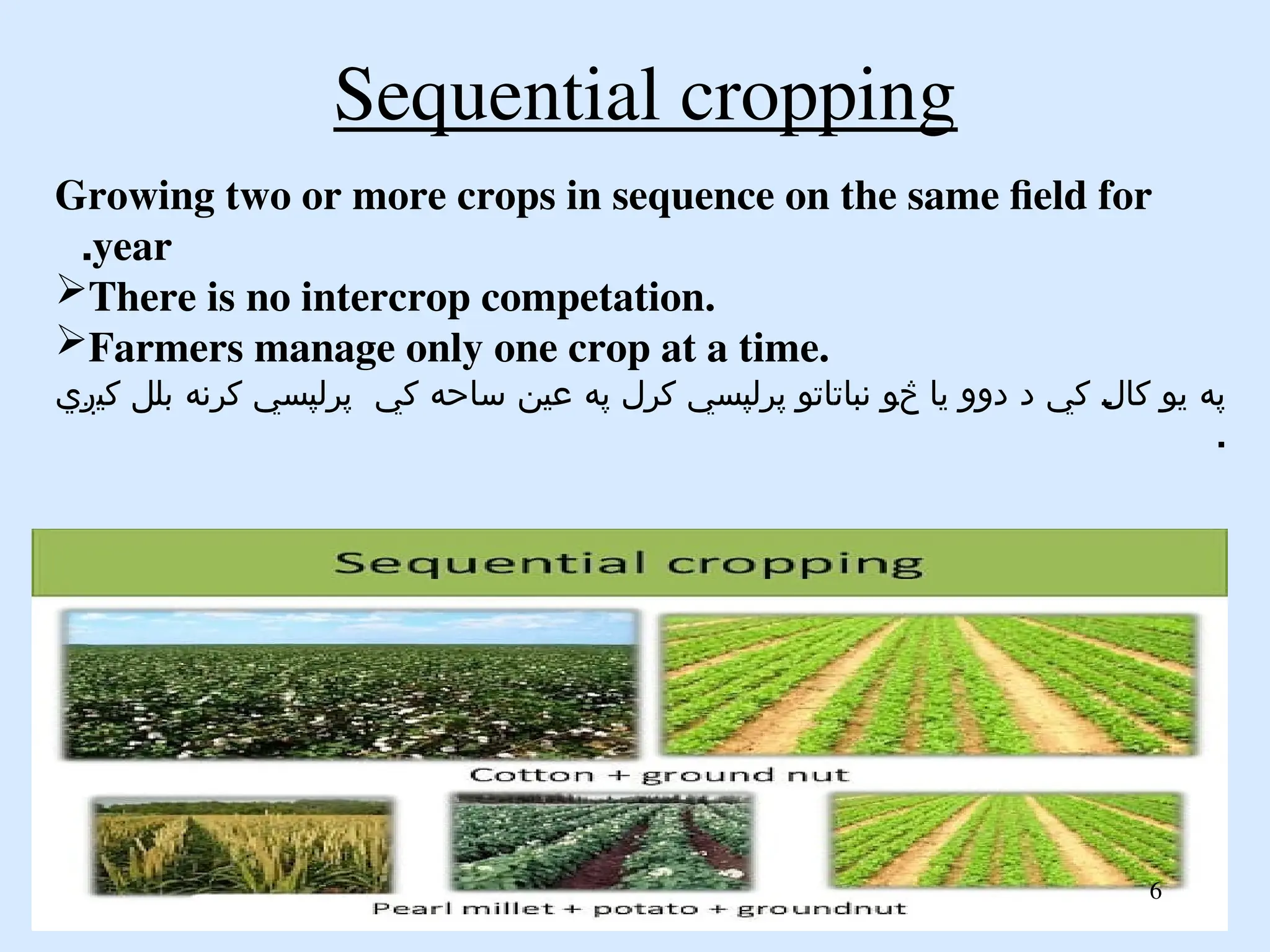Multiple cropping farhdhhddjad safi 54.ppt