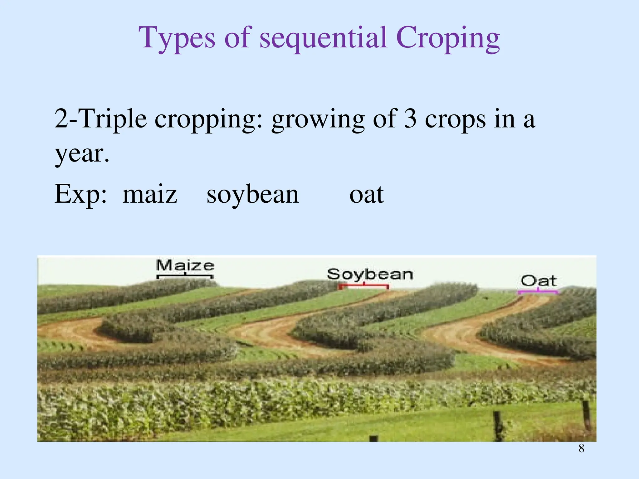 Multiple cropping farhdhhddjad safi 54.ppt