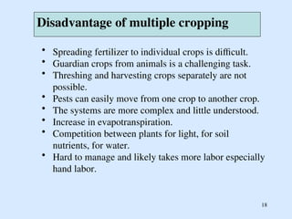 Multiple cropping farhdhhddjad safi 54.ppt