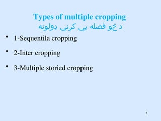 Multiple cropping farhdhhddjad safi 54.ppt