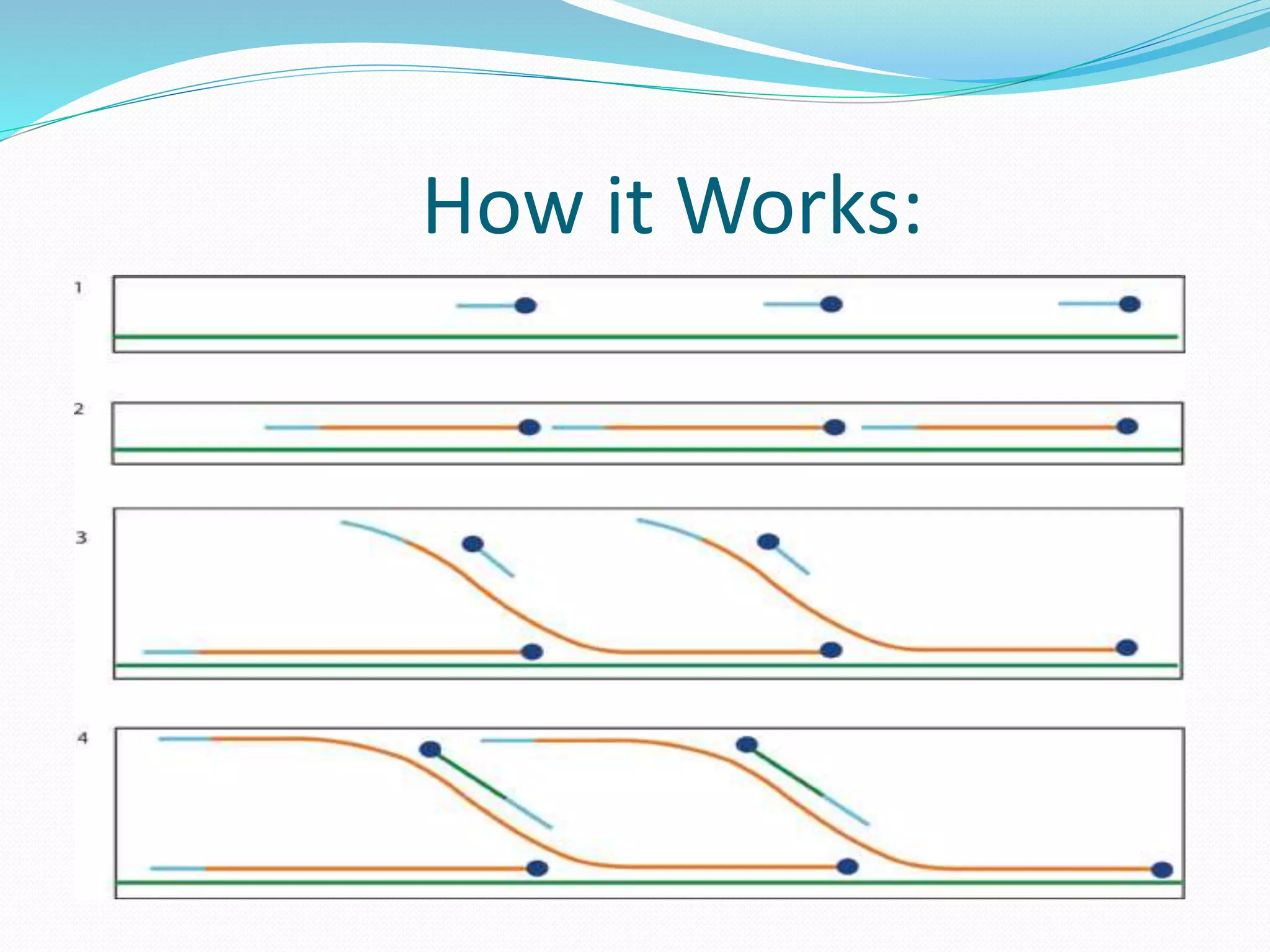 Multiple displacement amplification | PPT Multiple displacement amplification | PPT