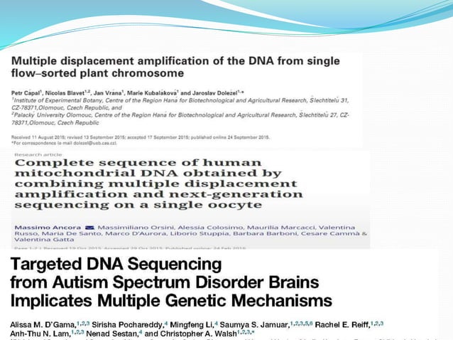 Multiple displacement amplification | PPT