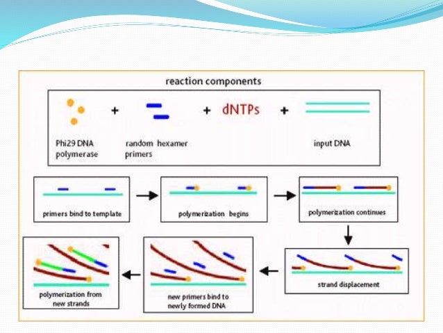 Multiple displacement amplification