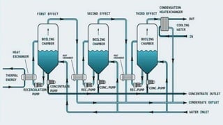 Multiple effect evaporator and economy of evaporators.pptx