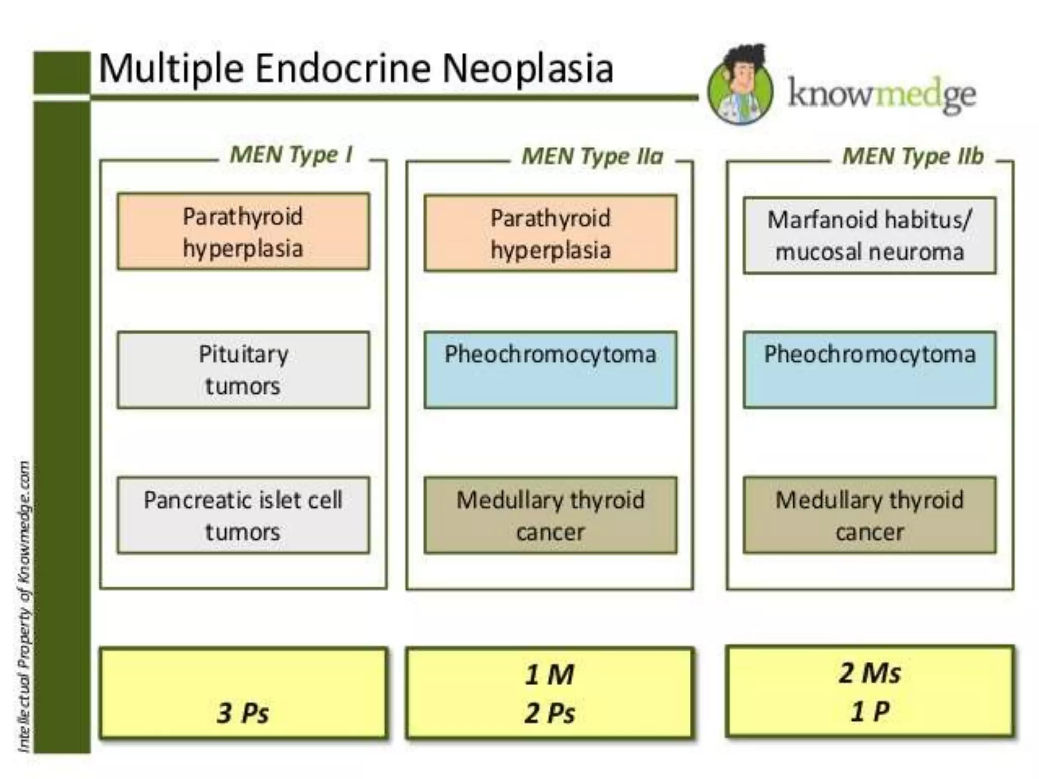 Multiple endocrine neoplasia (men) syndromes | PPTX