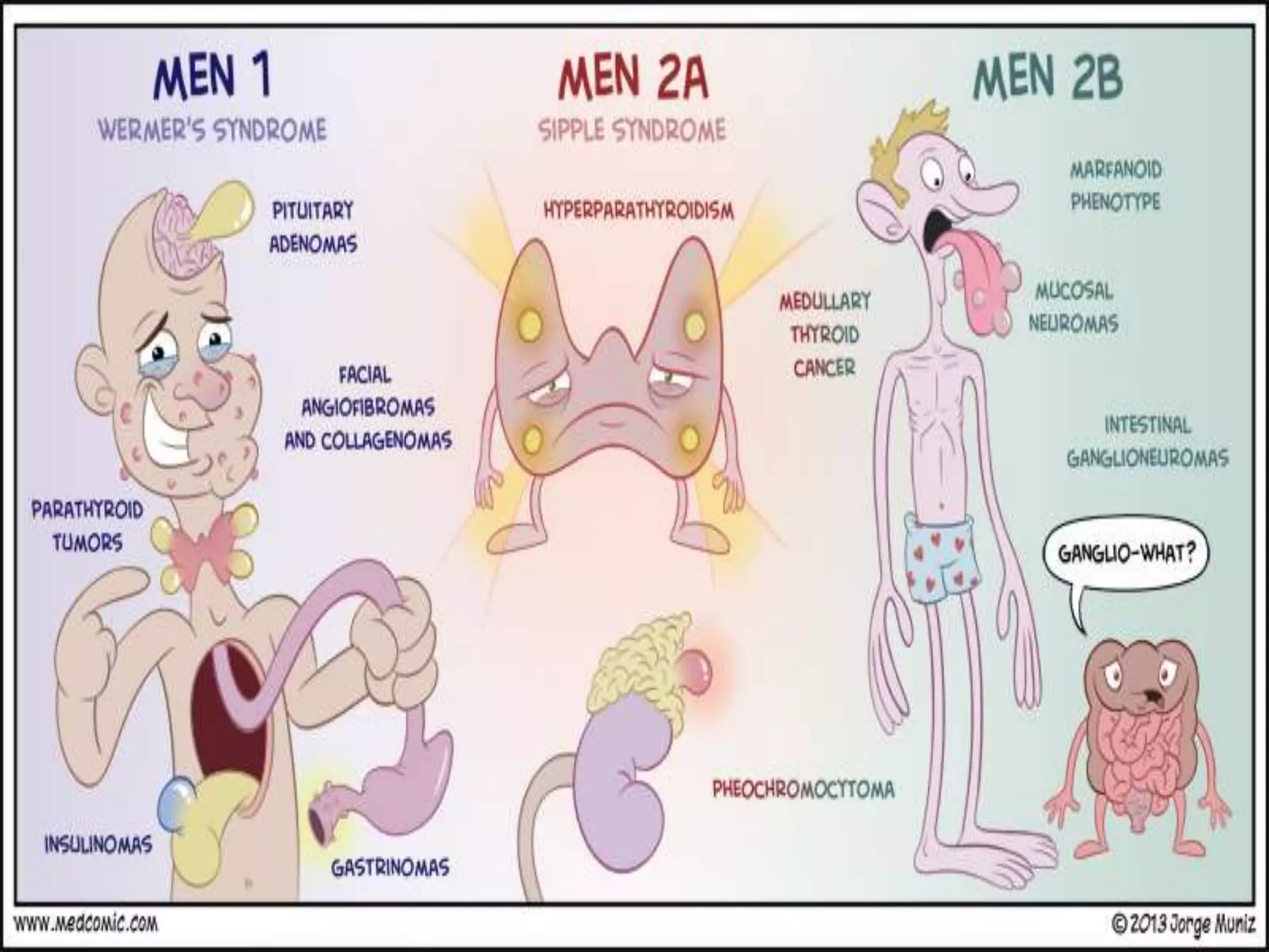 Multiple endocrine neoplasia (men) syndromes | PPTX