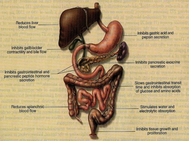 Multiple endocrine neoplasia (men) syndromes | PPTX | Endocrine and ...