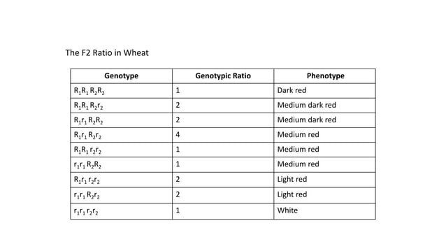 Multiple factor hypothesis | PPTX