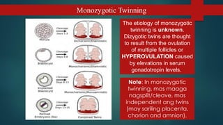 Multiple gestation/ TWIN | PDF