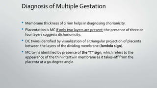 Multiple Gestation.pptx