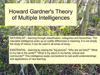 Multiple intelligence | PPT